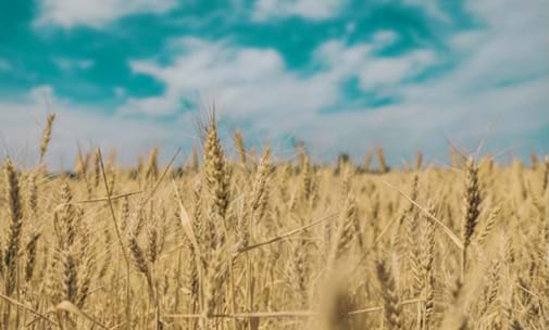 Energy, Metals, Agriculture solutions | Veridapt