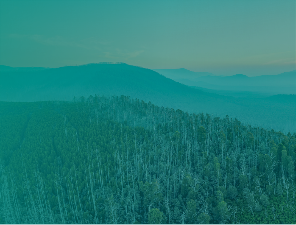 Energy, Metals, Agriculture solutions | Veridapt